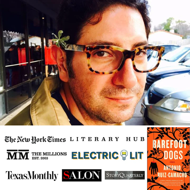 Writing Linked Narratives: Interconnected Story Collections & Novels-In ...